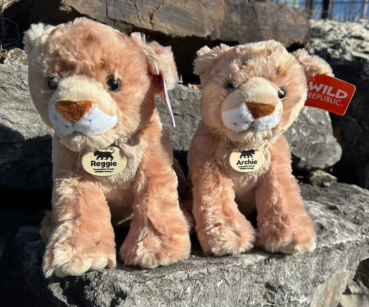 Reggie & Archie Plush Lion Cub – Turpentine Creek Wildlife Refuge